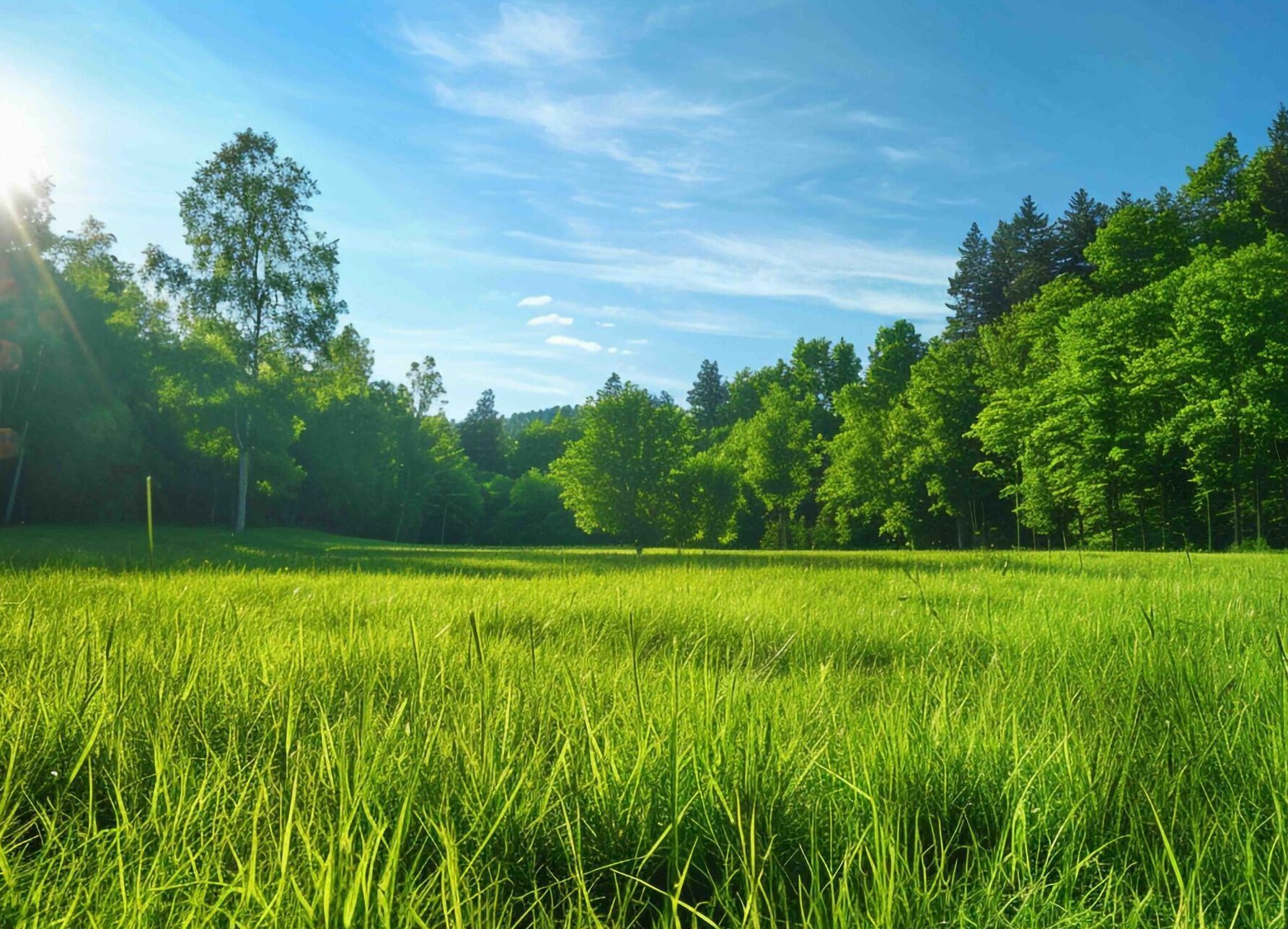 Sustainable Food Production & Practices | Samworth Brothers